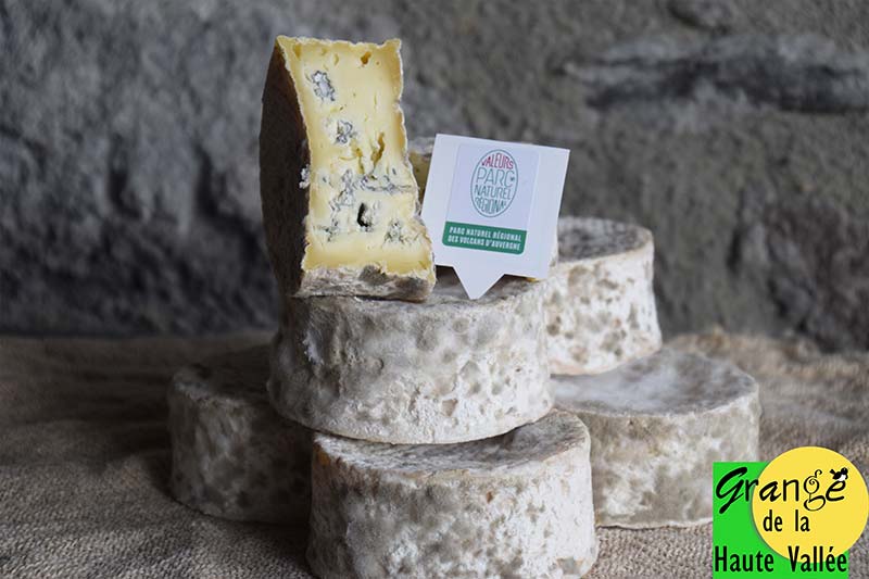 Pignou - Petit bleu fermier de la Grange de la Haute Vallée